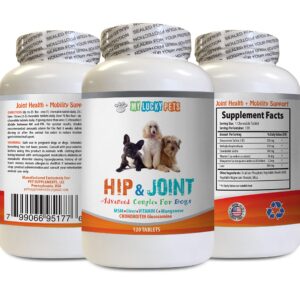 MY LUCKY PETS LLC Joint Supplement for Dogs - Dog Hip and Joint Complex - Vet Approved - Powerful Formula - Immune Support - Increase Joint Mobility - Dog glucosamine Chews - 1 Bottle (120 Tablets)