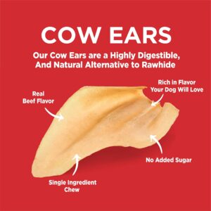 Barkworthies All Natural Whole Cow Ears for Dogs (12 Pack) - Healthy Dog Chews - Free Range Grass Fed 100% Beef - Single Ingredient Premium Dog Treat - Promotes Dental Health