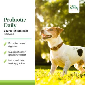 Terry Naturally Animal Health Probiotic Daily - 60 Chewable Tablets - Probiotics for Dogs, Beneficial Intestinal Bacteria to Maintain Healthy Gut Flora & Digestion - Canine Only - 60 Servings