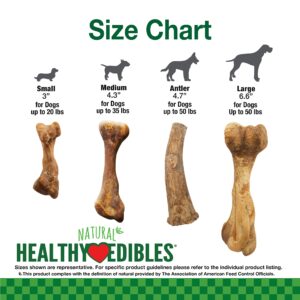 Nylabone Healthy Edibles Broth Bone Natural Dog Chews Long Lasting Treats Ham Flavor Large/Giant - Up to 50 lbs. (1 Count)