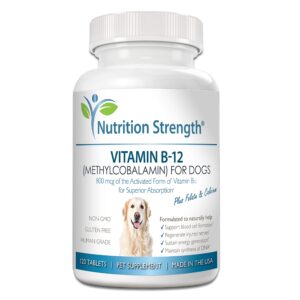 nutrition strength vitamin b12 for dogs plus folate & calcium, support the nervous system & blood cell formation, help sustain cellular energy generation & maintain dna synthesis, 120 chewable tablets