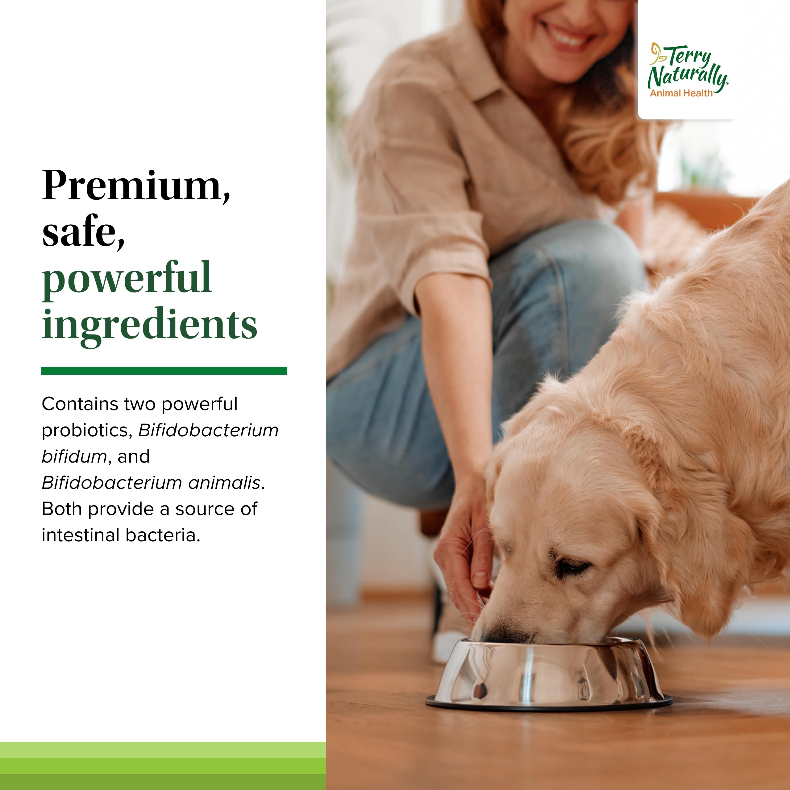 Terry Naturally Animal Health Probiotic Daily - 60 Chewable Tablets - Probiotics for Dogs, Beneficial Intestinal Bacteria to Maintain Healthy Gut Flora & Digestion - Canine Only - 60 Servings