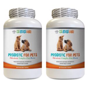 MY LUCKY PETS LLC Dog probiotic Supplement - PET PROBIOTIC - Dogs and Cats - Digestive Boost - GET RID of Bad Breath and Stop Diarrhea - Dog lactobacillus - 2 Bottles (120 Treats)