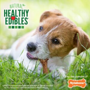 Nylabone Healthy Edibles Broth Bone Natural Dog Chews Long Lasting Treats Ham Flavor Small/Regular - Up to 25 Ibs. (4 Count)