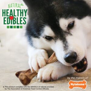 Nylabone Healthy Edibles Broth Bone Natural Dog Chews Long Lasting Treats Ham Flavor Large/Giant - Up to 50 lbs. (1 Count)