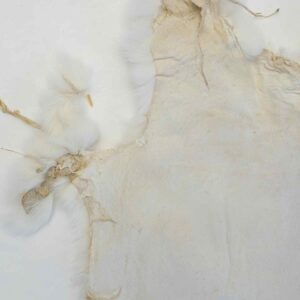 SLC Genuine White Rabbit Pelt for Décor & Crafts, Single Genuine Fur Hides