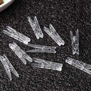 50PCS Clear Plastic Mini Spring Hanging Clips Clamps Holder Clothing Pins Paper Photos Clothes Line Clip Clothespins Clip Hanger Clips Laundry Clothespins(3.5cm x 0.7cm x 1cm)