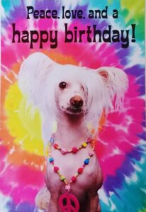 greeting card peace love and happy birthday hippie psychedelic rainbow design with powder puff chinese crested dog