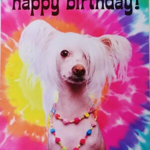 Greeting Card Peace Love and Happy Birthday Hippie Psychedelic Rainbow Design with Powder Puff Chinese Crested Dog