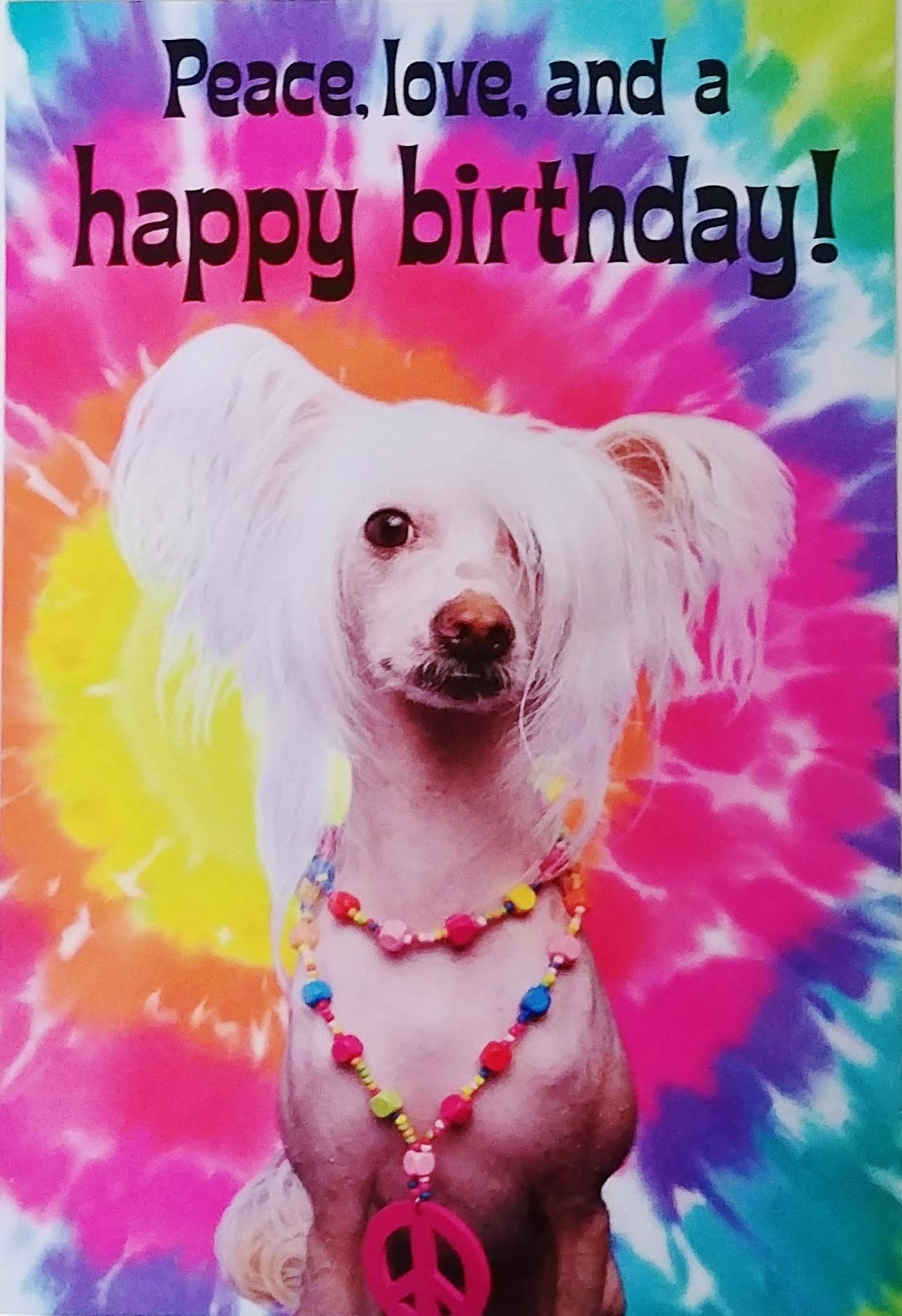 Greeting Card Peace Love and Happy Birthday Hippie Psychedelic Rainbow Design with Powder Puff Chinese Crested Dog