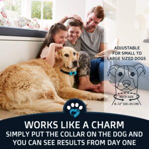 PawPets Anti Bark Collar - No Shock Training Dog Collar - Humane with Vibration and Sound Barking Collar for Small Medium Large Dogs 5-100lbs - 2 Pack Blue Orange (Battery)