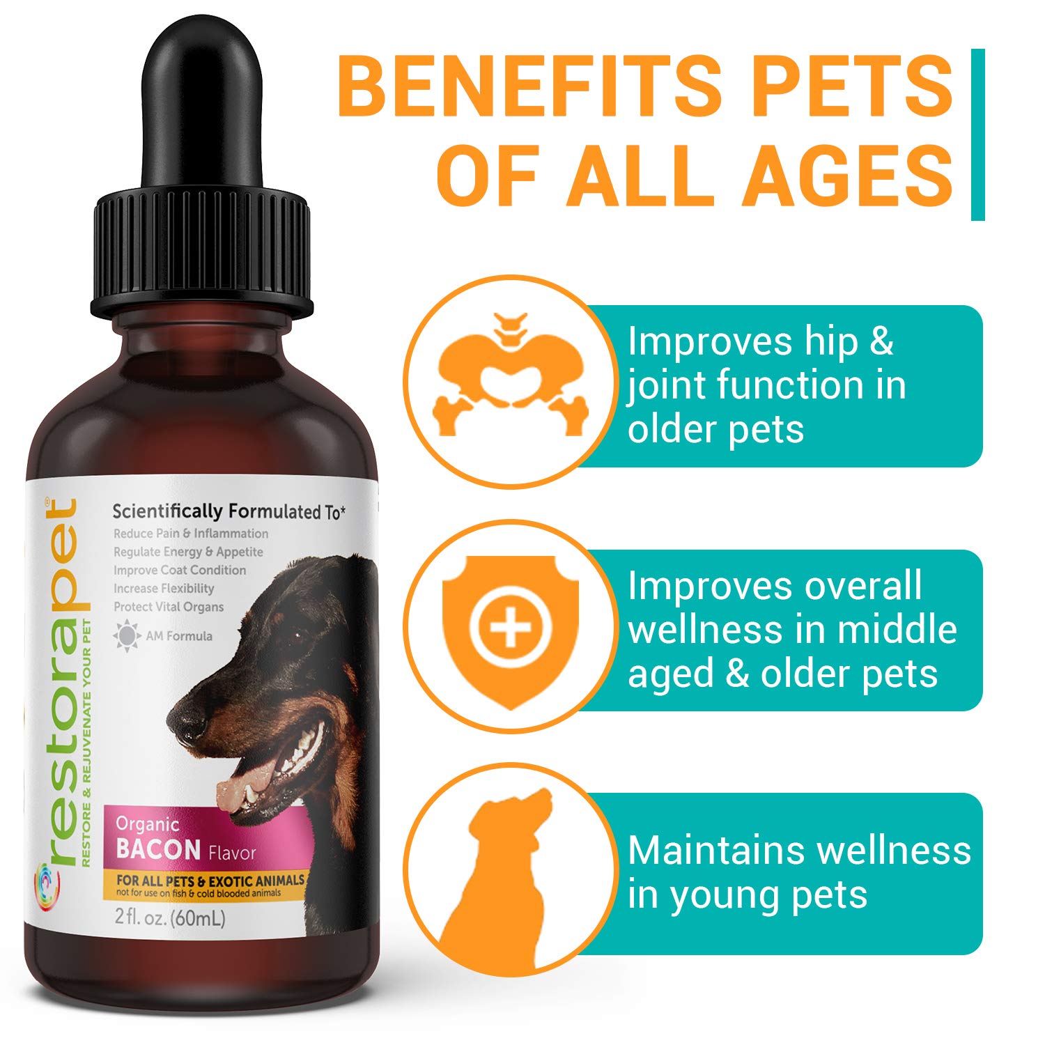 RestoraPet 4-Pack Dog & Cat Bacon Liquid Multivitamin | Dog Arthritis Pain Relief | Hip & Joint Vitamins for Dogs - Anti Inflammatory Supplement for Dogs & Cats | Organic & Non-GMO, Vet Approved