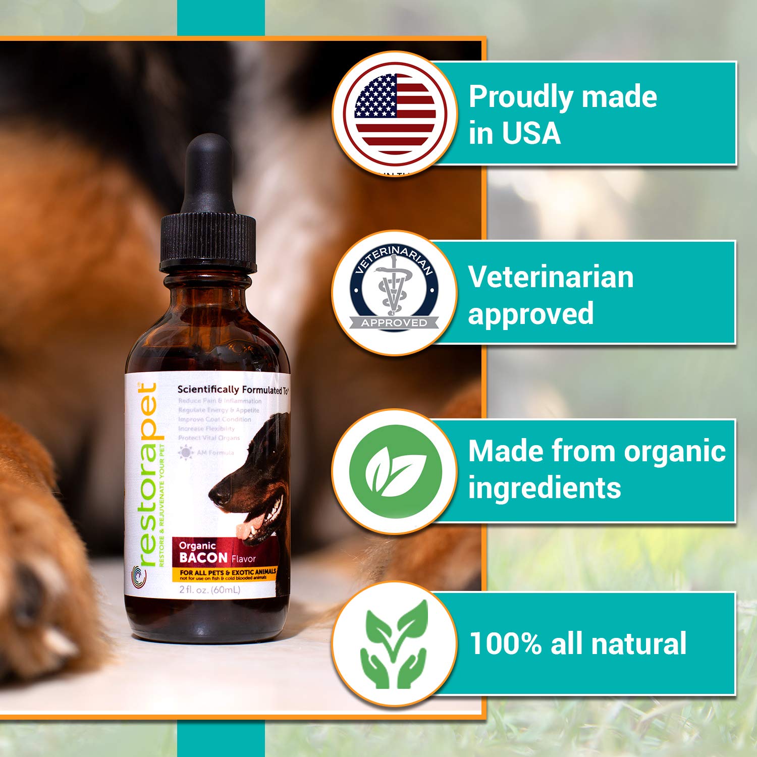 RestoraPet 4-Pack Dog & Cat Bacon Liquid Multivitamin | Dog Arthritis Pain Relief | Hip & Joint Vitamins for Dogs - Anti Inflammatory Supplement for Dogs & Cats | Organic & Non-GMO, Vet Approved