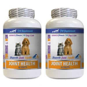 Dog Vitamins for Hip and Joint - PET Joint Health - Dogs and Cats - Turmeric and MSM - Increase Mobility - Decrease Inflammation - Premium - Dog glucosamine Turmeric - 2 Bottles (120 Tablets)