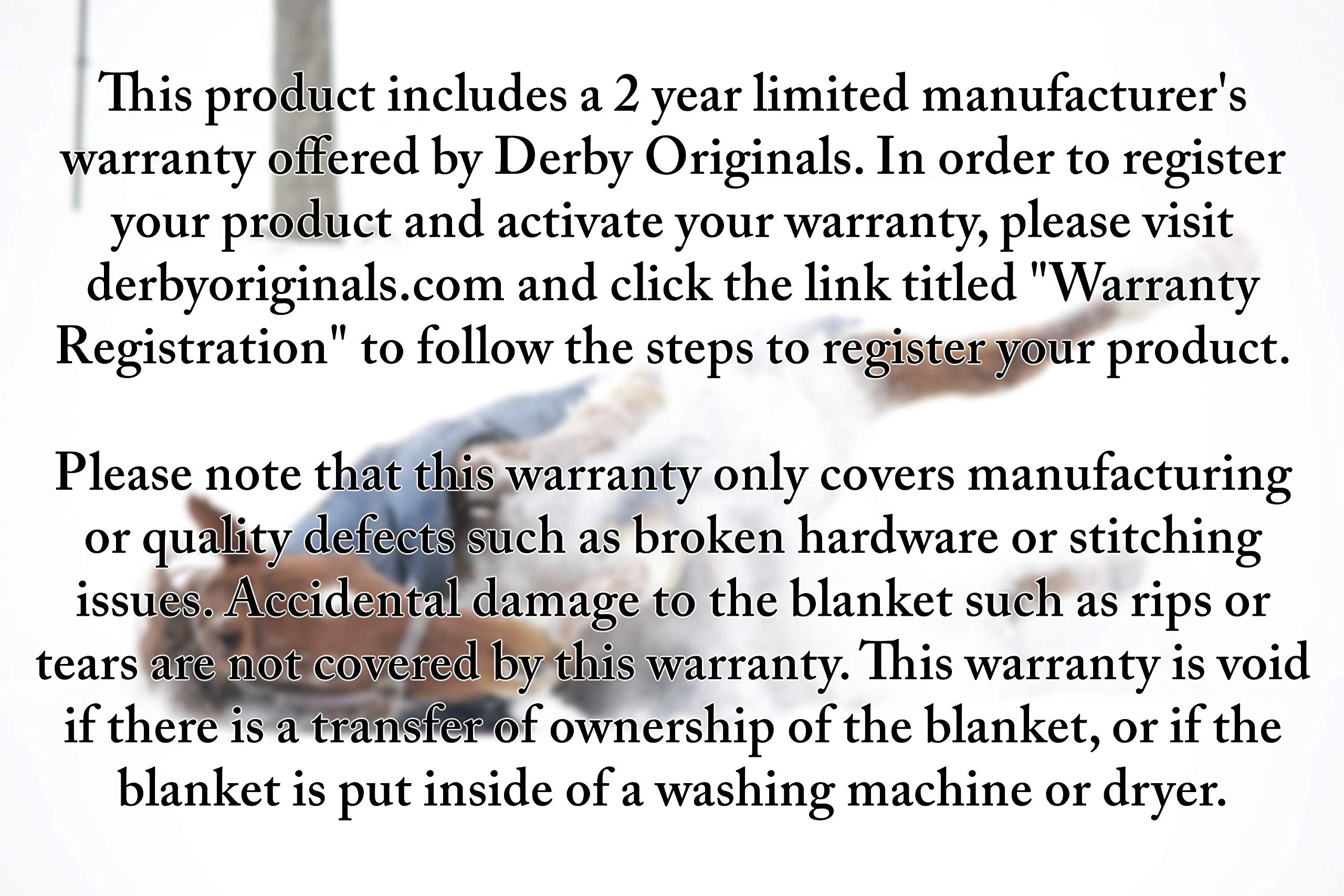 Derby Originals Nordic Tough 1200D Ripstop Waterproof Reflective All Season Mini Horse Pony Turnout Rain Sheet, Electric Blue, 48"