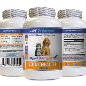 cat Joint Care - PET Joint Health - Dogs and Cats - Turmeric and MSM - Increase Mobility - Decrease Inflammation - Premium - glucosamine chondroitin msm for Cats - 1 Bottle (60 Tablets)