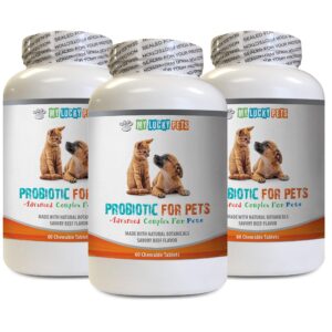 MY LUCKY PETS LLC cat probiotic Enzyme - PET PROBIOTIC - Dogs and Cats - Digestive Boost - GET RID of Bad Breath and Stop Diarrhea - cat Digestive Enzyme - 3 Bottles (180 Treats)