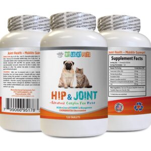 cat joint chews - PET HIP AND JOINT COMPLEX - DOGS AND CATS - NATURAL VET APPROVED FORMULA - IMMUNE BOOST - GOOD FOR STIFF JOINTS - glucosamine supplement for cats - 1 Bottle (120 Tabs)