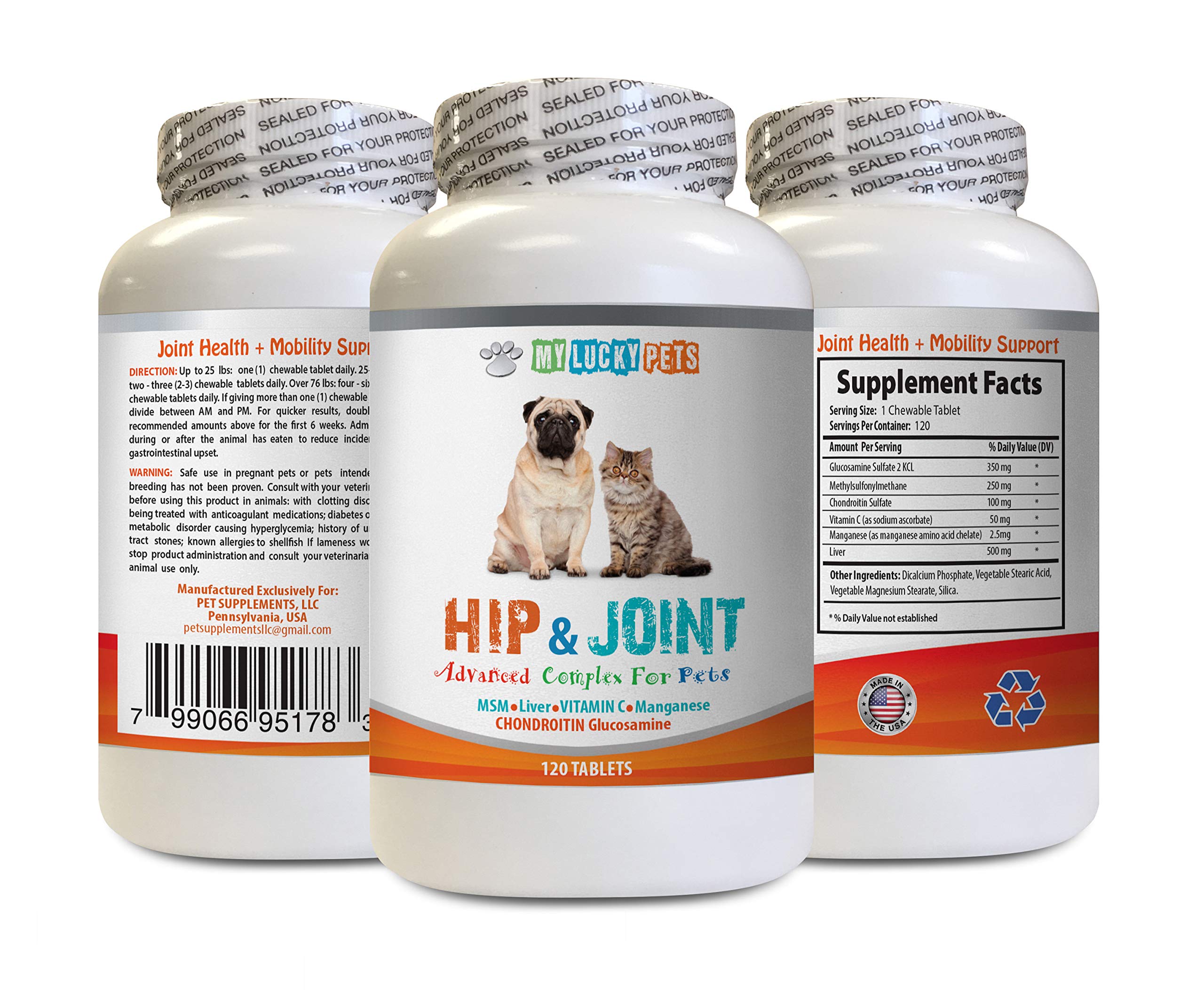 cat joint chews - PET HIP AND JOINT COMPLEX - DOGS AND CATS - NATURAL VET APPROVED FORMULA - IMMUNE BOOST - GOOD FOR STIFF JOINTS - glucosamine supplement for cats - 1 Bottle (120 Tabs)