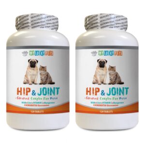 veterinary recommended joint supplement for cats - PET HIP AND JOINT COMPLEX - DOGS AND CATS - NATURAL VET APPROVED FORMULA - IMMUNE BOOST - GOOD FOR STIFF JOINTS - cat vitamin chews - 2 Bottles (240