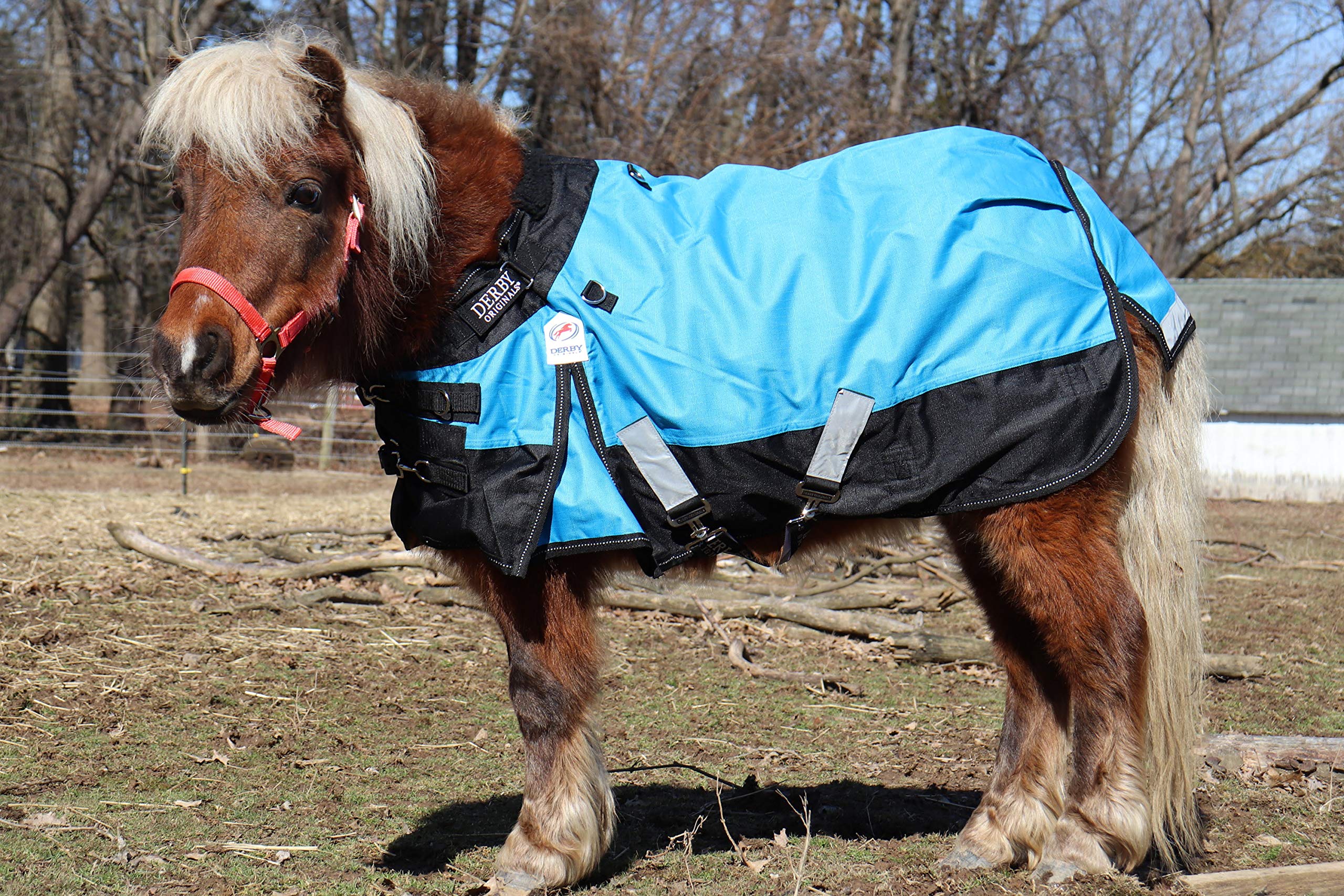 Derby Originals Nordic Tough 1200D Ripstop Waterproof Reflective All Season Mini Horse Pony Turnout Rain Sheet, Electric Blue, 48"