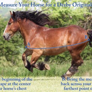 Derby Originals Nordic Tough 1200D Ripstop Waterproof Reflective All Season Mini Horse Pony Turnout Rain Sheet, Electric Blue, 48"