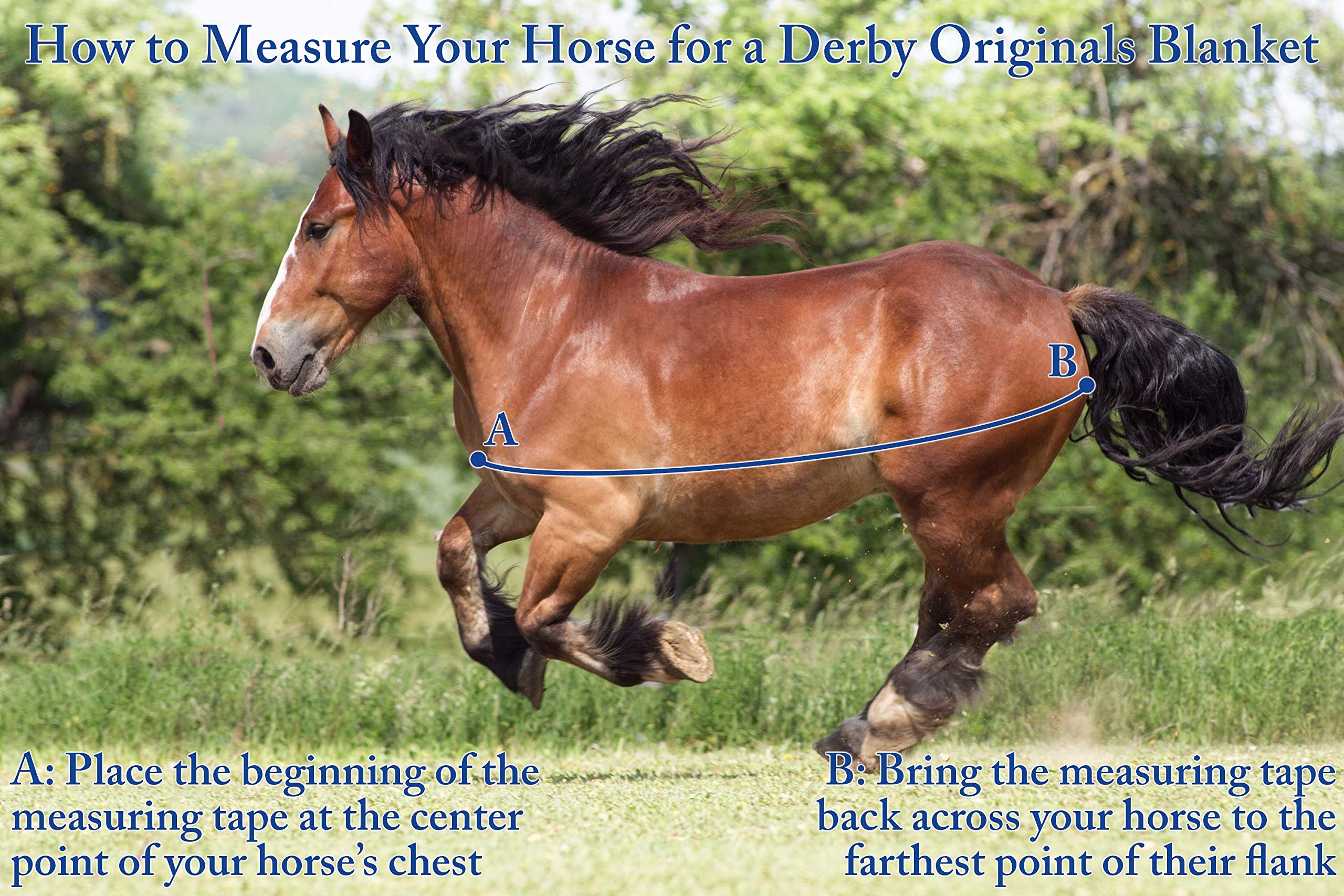 Derby Originals Nordic Tough 1200D Ripstop Waterproof Reflective All Season Mini Horse Pony Turnout Rain Sheet, Electric Blue, 48"