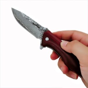 ALBATROSS Pocket Knife Red sandalwood 7.25" Modern Damascus Steel Knife Frame Lock Folding Knife Gift Box - HGDK021