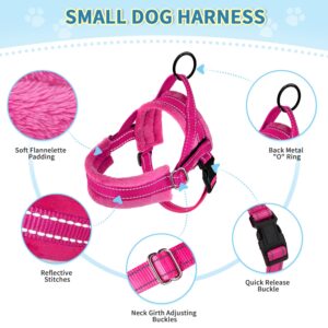 SlowTon No Pull Small Dog Harness and Leash Set, Puppy Soft Vest Harness Neck & Chest Adjustable, Reflective Lightweight Harness & Anti-Twist Pet Lead Combo for Small Medium Dogs (Fuchsia, XXS)