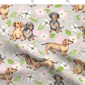 Spoonflower Fabric - Dachshunds Dogwood Blossoms Pink Large Dachshund Dogs Cute Gray Year Printed on Petal Signature Cotton Fabric by The Yard - Sewing Quilting Apparel Crafts Decor