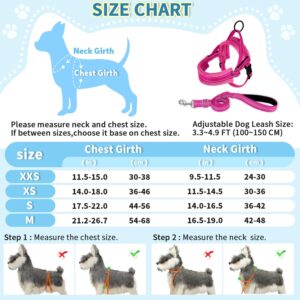 SlowTon No Pull Small Dog Harness and Leash Set, Puppy Soft Vest Harness Neck & Chest Adjustable, Reflective Lightweight Harness & Anti-Twist Pet Lead Combo for Small Medium Dogs (Fuchsia, XXS)