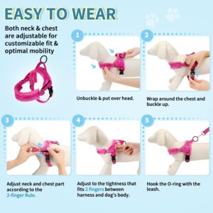 SlowTon No Pull Small Dog Harness and Leash Set, Puppy Soft Vest Harness Neck & Chest Adjustable, Reflective Lightweight Harness & Anti-Twist Pet Lead Combo for Small Medium Dogs (Fuchsia, XXS)