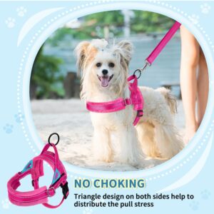 SlowTon No Pull Small Dog Harness and Leash Set, Puppy Soft Vest Harness Neck & Chest Adjustable, Reflective Lightweight Harness & Anti-Twist Pet Lead Combo for Small Medium Dogs (Fuchsia, XXS)