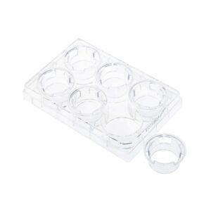 permeable cell culture inserts, packed in 6 well plate, hanging, pet, 8.0µm, sterile