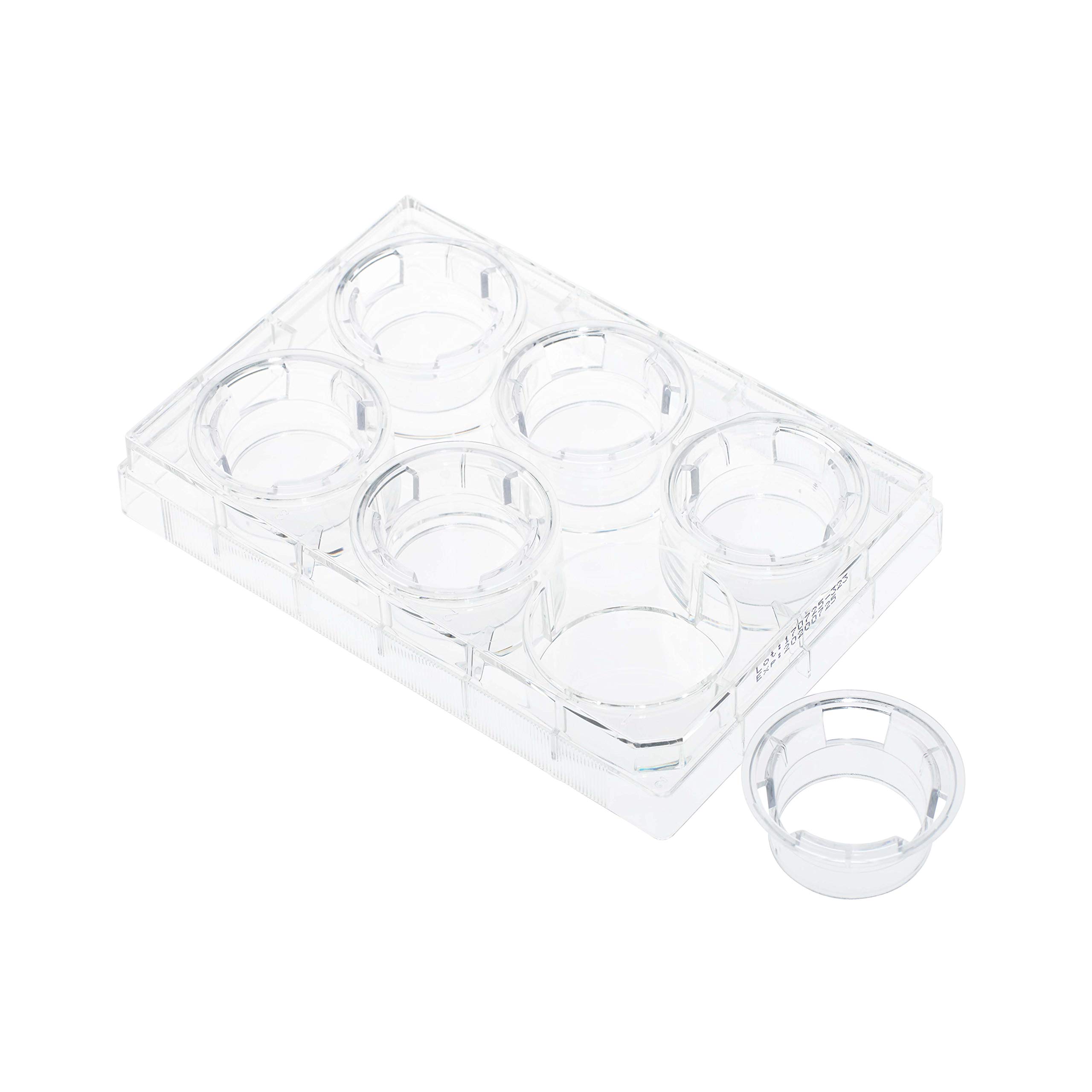 Permeable Cell Culture Inserts, Packed in 6 Well Plate, Hanging, PET, 8.0µm, Sterile