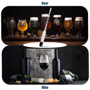 Hydrometer for Wine Making with 100 MM Hydrometer Alcohol Test Jar - Specific Gravity Hydrometer for Wine and Beer Making Testing Kit and Brewing Your Own Homebrew