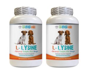 dog eye health - dog lysine powder - pure powder form - immune system support - vet recommended - dog immune system - 2 bottle (16oz 453.6 grams)