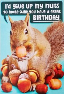 greeting card i'd give up my nuts to make sure you have a great birthday - funny with squirrel