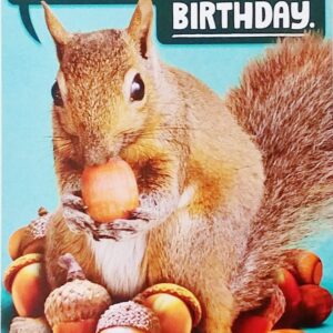 Greeting Card I'd Give Up My Nuts To Make Sure You Have A Great Birthday - Funny with Squirrel