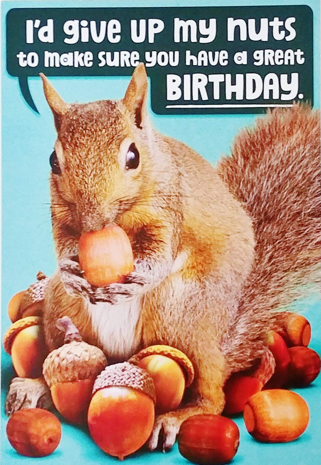 Greeting Card I'd Give Up My Nuts To Make Sure You Have A Great Birthday - Funny with Squirrel