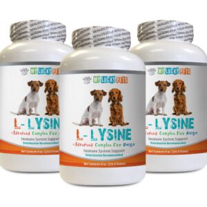 MY LUCKY PETS LLC Amino acids for Dogs - Dog LYSINE Powder - Pure Powder Form - Immune System Support - Vet Recommended - Dog Food enzymes - 3 Bottle (24oz 680.4 Grams)