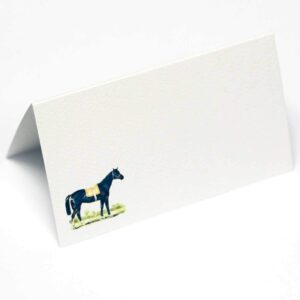 nancy nikko place cards with race horse illustration for equine themed dinner parties and events. table tent style, scored for easy folding. available in packages of 12 and 25 (12)