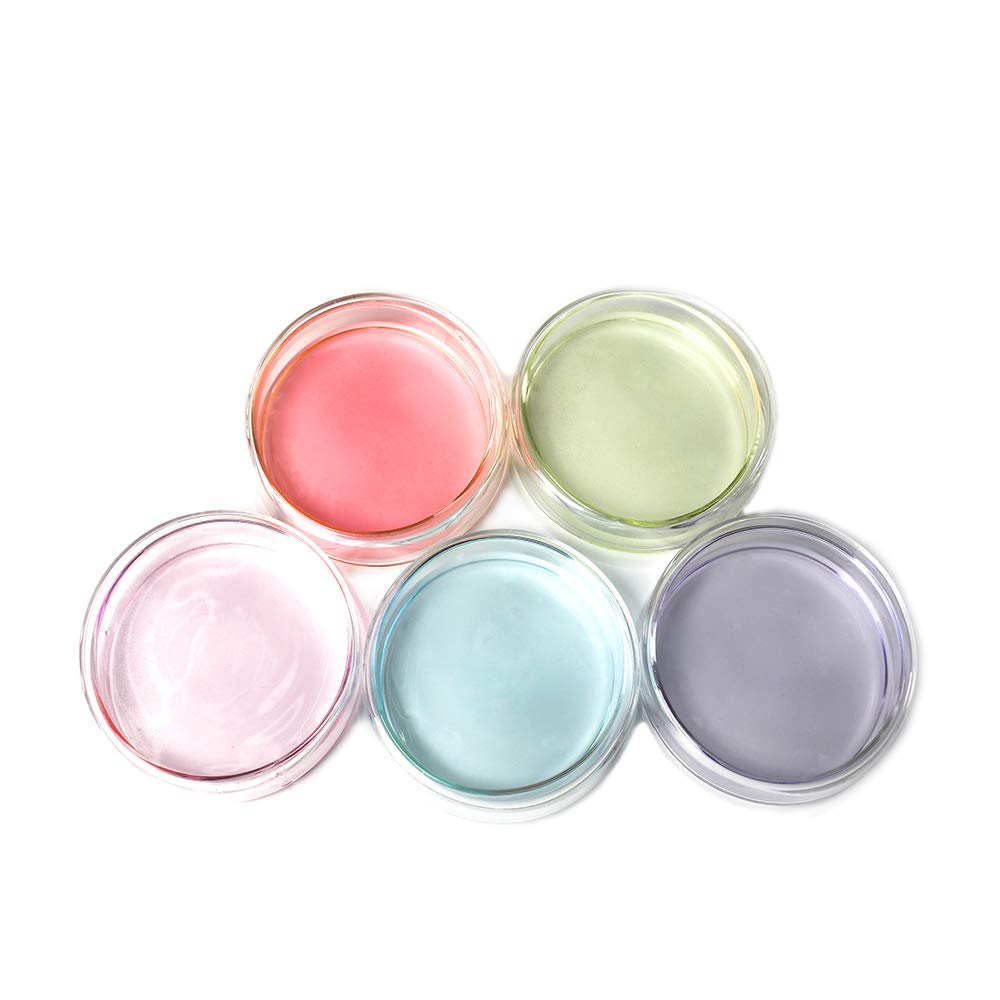 ULAB Glass Petri Dishes, Tissue Culture Plate, Dia.100x20mm, 3.3 Borosilicate Glass Material, Pack of 5, UMS1003