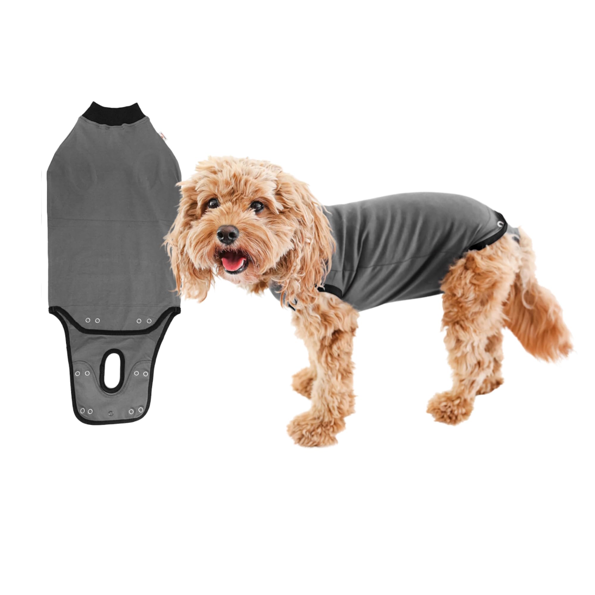 BellyGuard Recovery Suit for Dogs, After Surgery Dog Recovery Suit Female and Male, Soft Cotton Dog Surgery Suit Female Spay, Dog Surgical Recovery Suit Male Neuter, Comfy Surgical Onesie for Dogs.