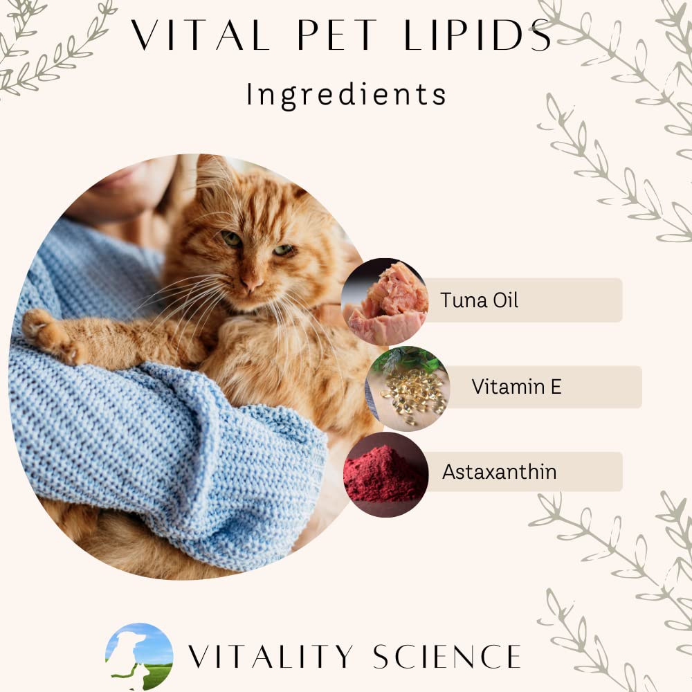 Vitality Science Advanced Immune Restoration Supplements for Cats | Intense Regeneration Protocol | Helps with Pain Relief (Small)