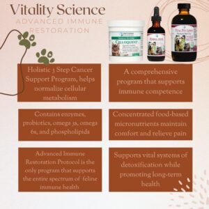 Vitality Science Advanced Immune Restoration Supplements for Cats | Intense Regeneration Protocol | Helps with Pain Relief (Small)