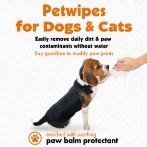 Petkin Big N' Thick Paw Wipes for Dogs, 100 Large Wipes - Clean Dirty Paws After Muddy Walks, with Paw Balm Protectant - Keep Floors and Furniture Clean - Ideal for Home or Travel - Orange Scent