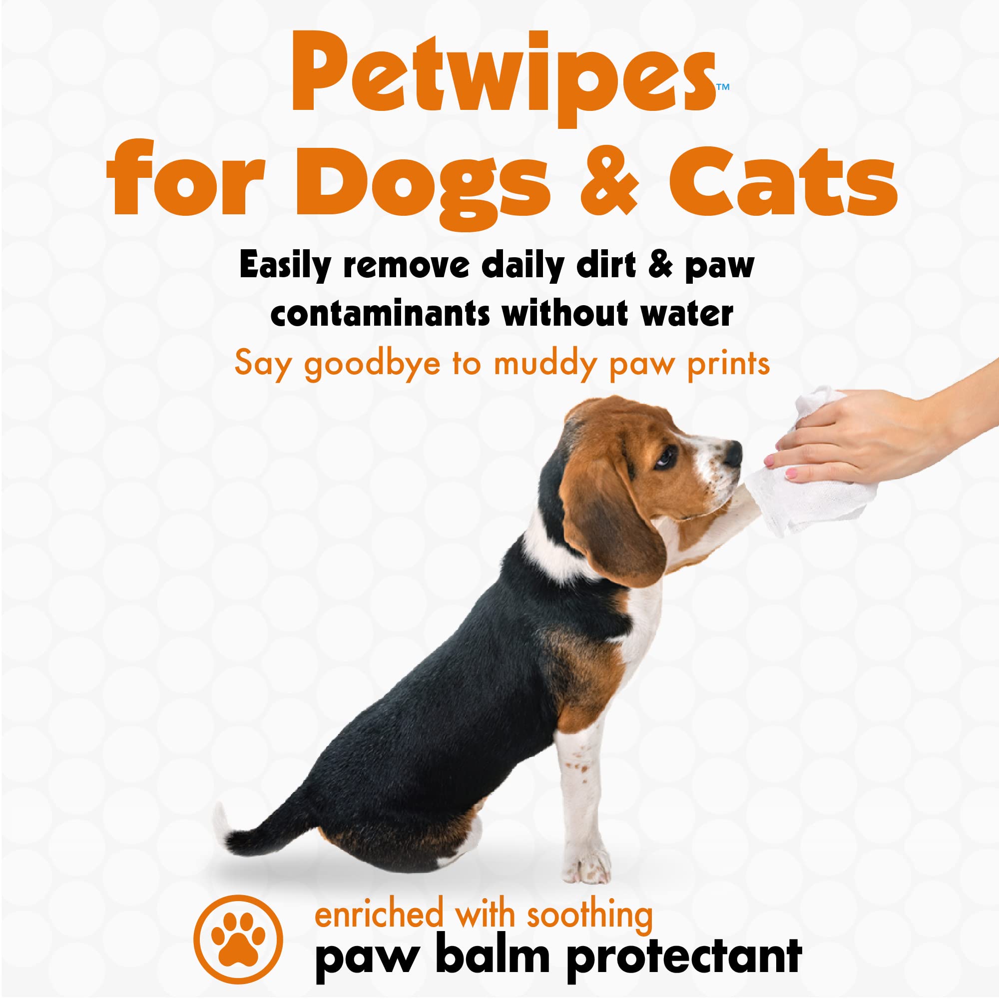 Petkin Big N' Thick Paw Wipes for Dogs, 100 Large Wipes - Clean Dirty Paws After Muddy Walks, with Paw Balm Protectant - Keep Floors and Furniture Clean - Ideal for Home or Travel - Orange Scent