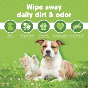 Petkin Mega PetWipes, 200 Wipes - Bamboo Pet Wipes for Dogs and Cats - for Face, Paws, Ears, Body and Eye Area - Super Convenient Dog Cleaning Wipes, Ideal for Home or Travel - Easy to Use