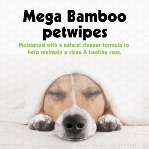 Petkin Mega PetWipes, 200 Wipes - Bamboo Pet Wipes for Dogs and Cats - for Face, Paws, Ears, Body and Eye Area - Super Convenient Dog Cleaning Wipes, Ideal for Home or Travel - Easy to Use